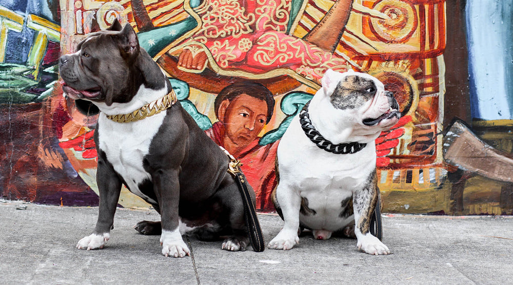 Bad Mofo Dog Chains